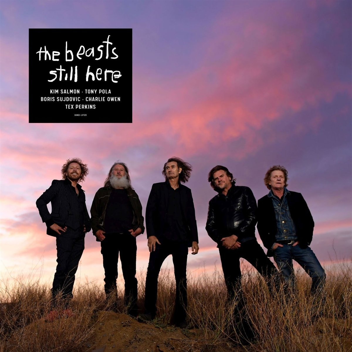 ALBUM REVIEW: The Beasts – Still Here – Doubtful Sounds